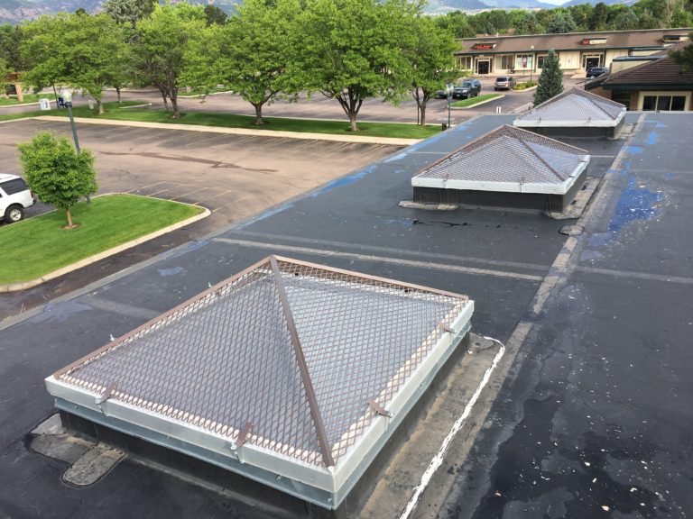 HOME - HIPPO® SKYLIGHT GUARDS